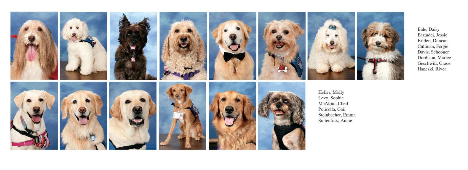 The Dog Days of Summer: Yearbook Edition » Walsworth Yearbooks